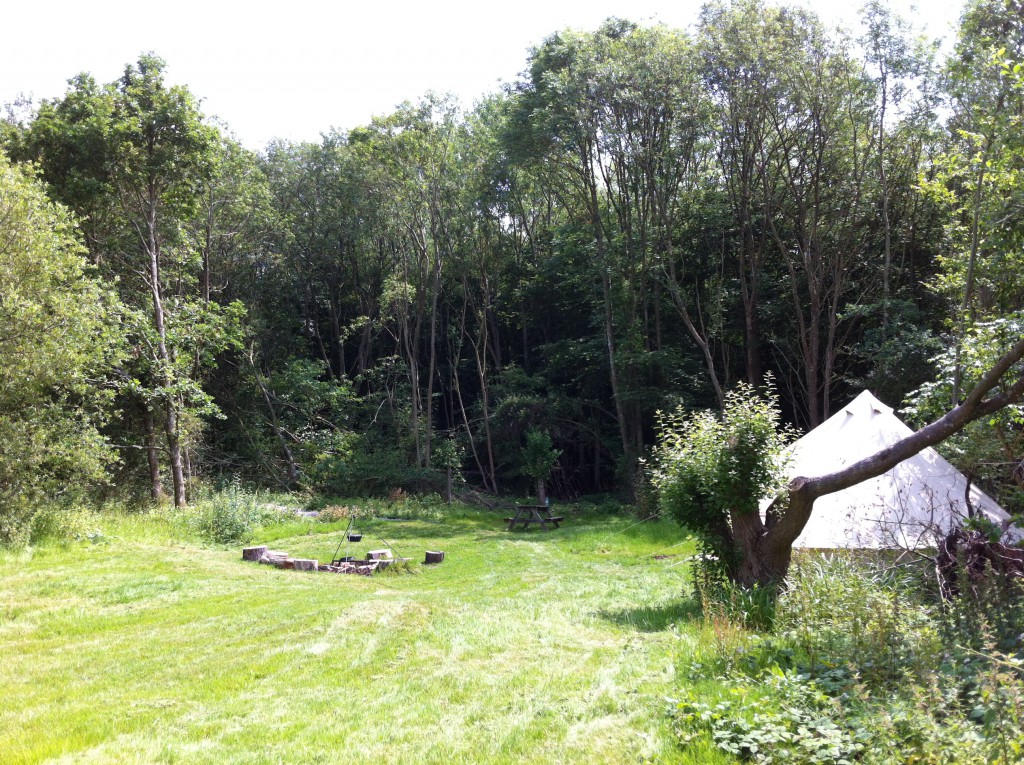 Willow Tent - Dernwood Farm